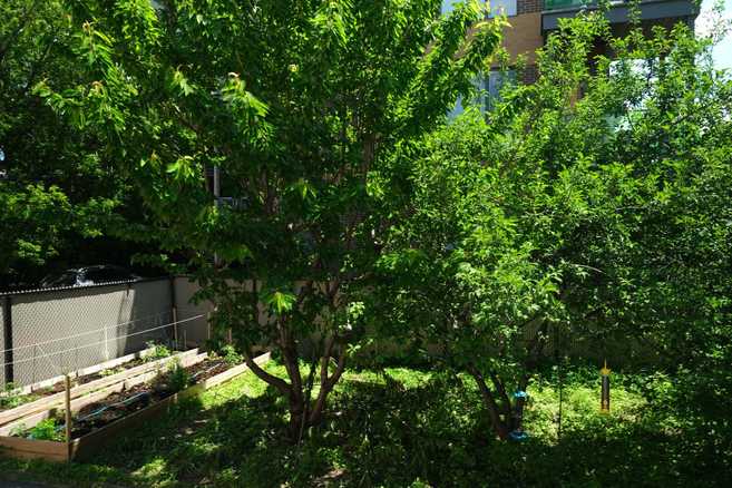 Construisons Montréal